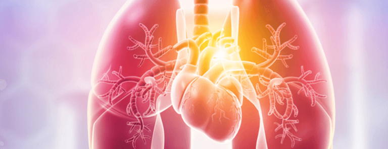 3DR Labs - 3D Medical Image Post-Processing